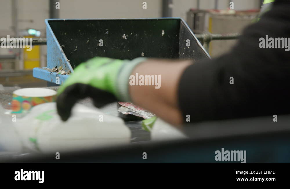 People sorting Plastic Bottles and Aluminum Cans on a Conveyor Belt in ...