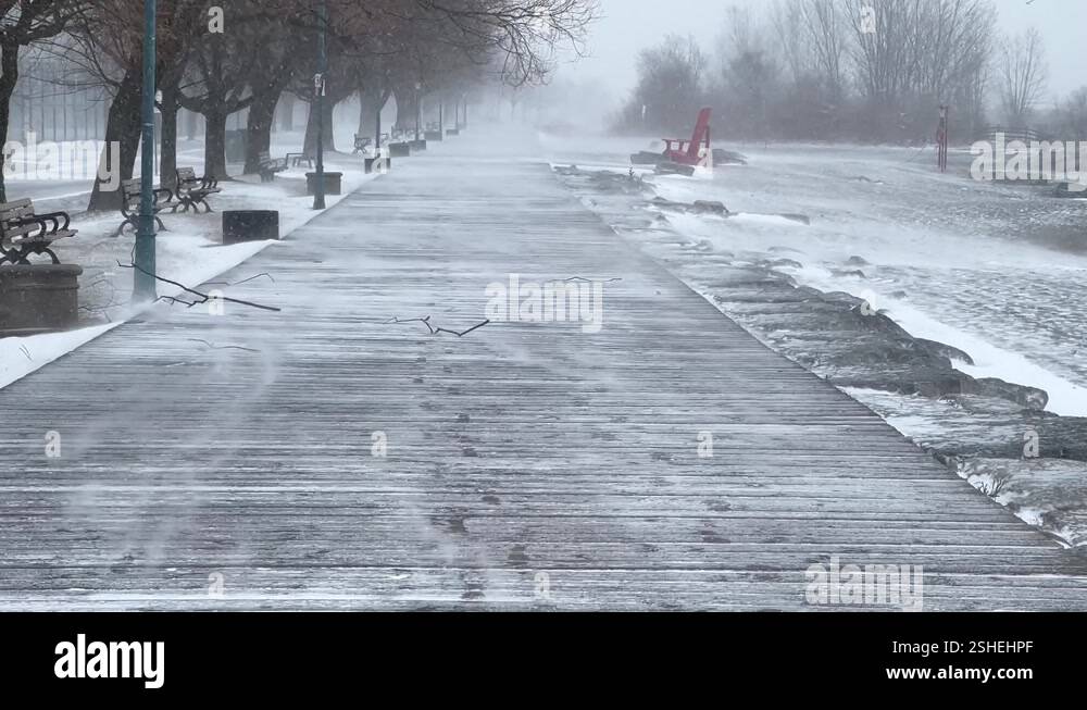 Dark Winter Morning Mist And Blizzard In Empty Park During Snow Storm ...
