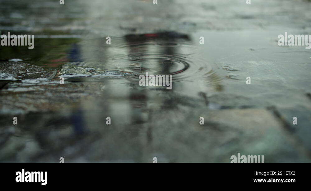 Floods are the rainy season and heavy rains. Close-up drops of rain ...