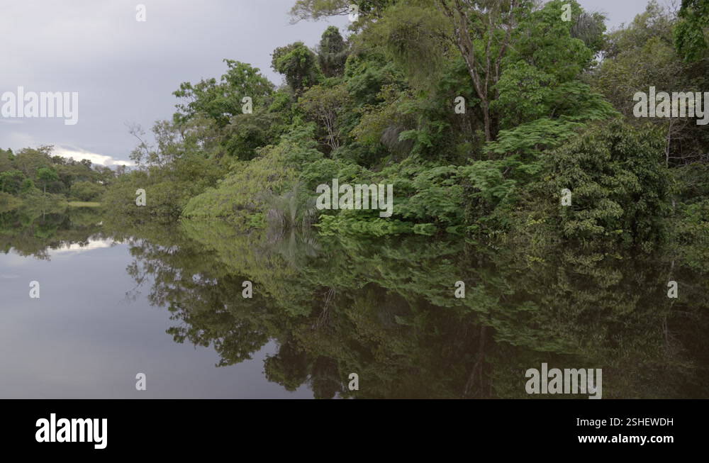 Point Of View Of Green Forest Under Clouds By Sea - Manaus, Brazil ...