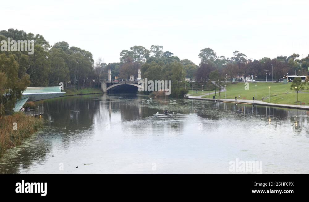 River Torrens Adelaide City Morning Walk And Paddle Stock Video Footage