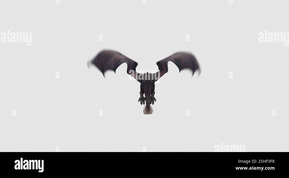 Realistic dragon flying back to camera on black background. VFX element ...
