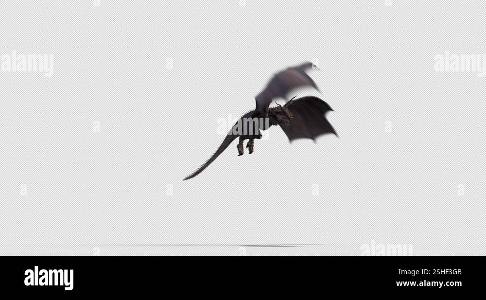 Realistic dragon taking off from the ground on black background. VFX ...
