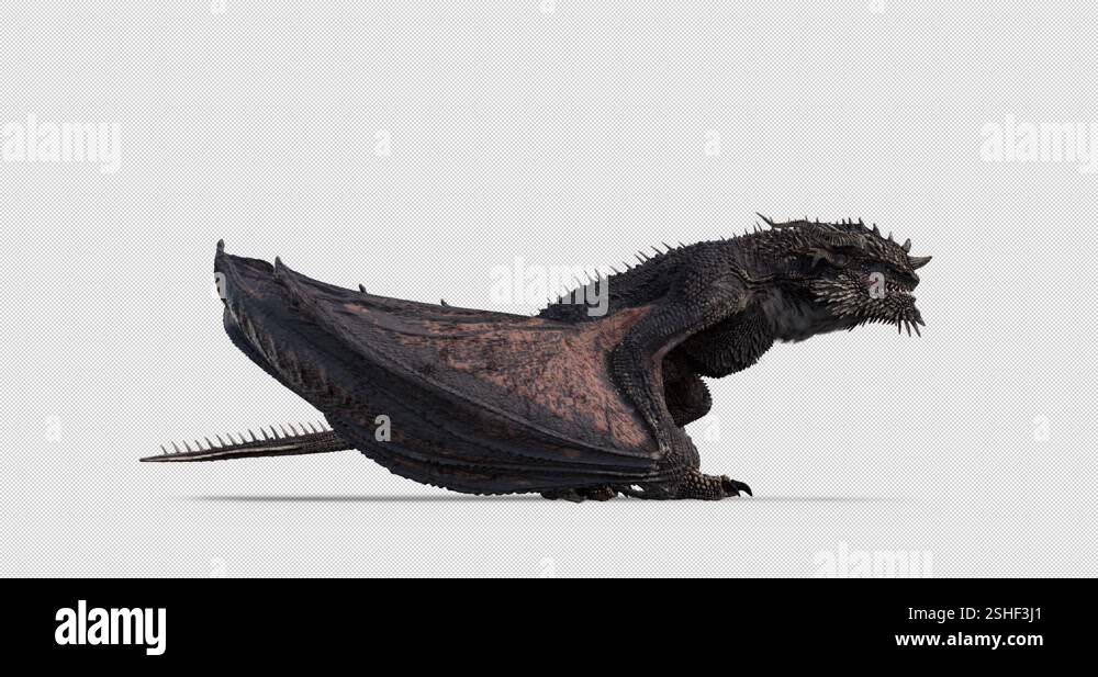 Realistic dragon standing idle on black background. VFX element Stock ...