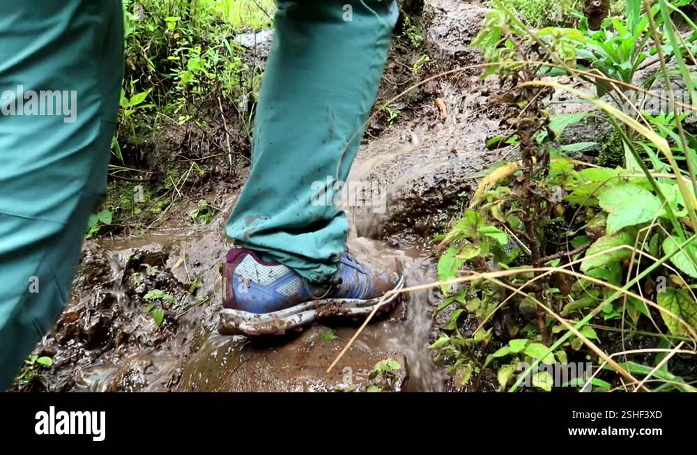Static low angle view of the legs of a person walking through a stream ...