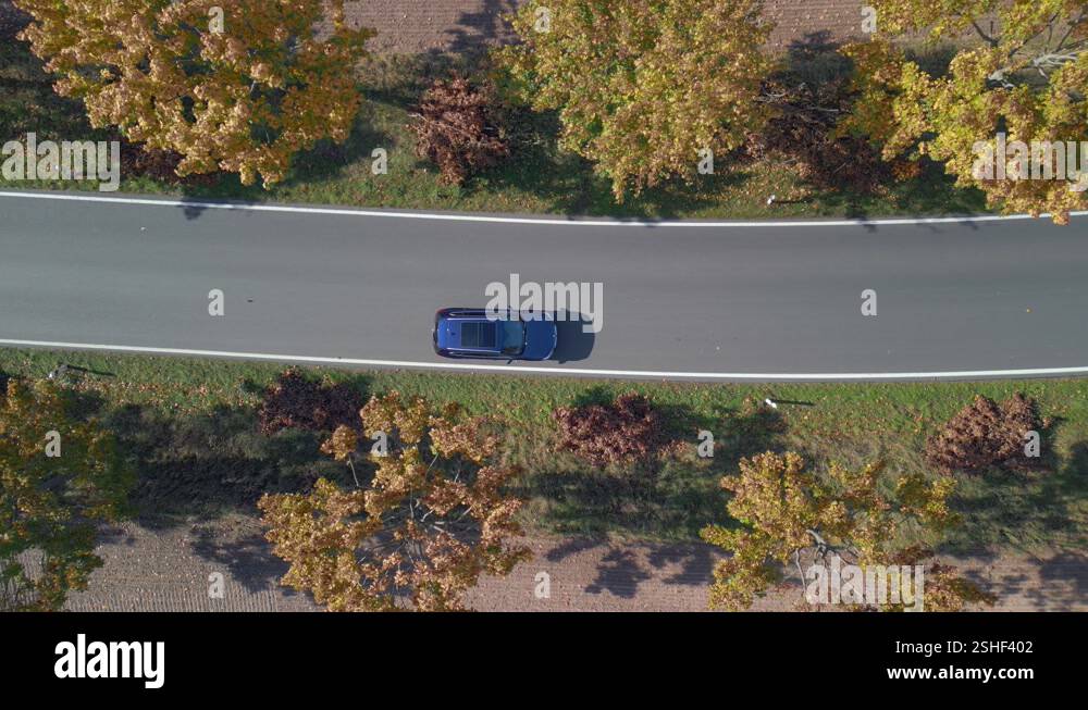 Cars drive on country road alley with trees. Stunning aerial view ...