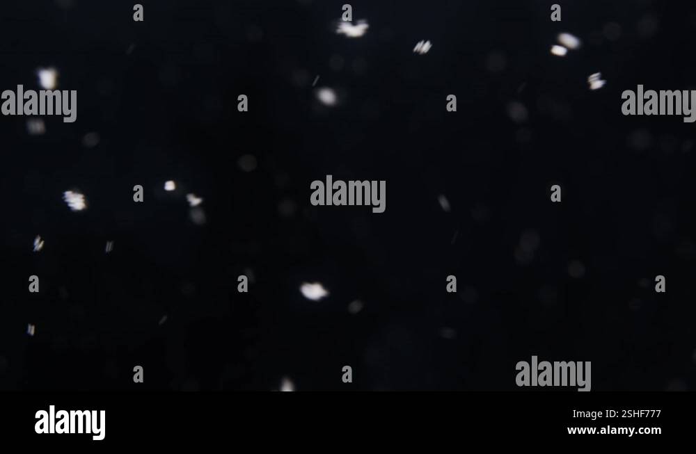 snowfall at night in January panning down from a black sky to rest on a ...