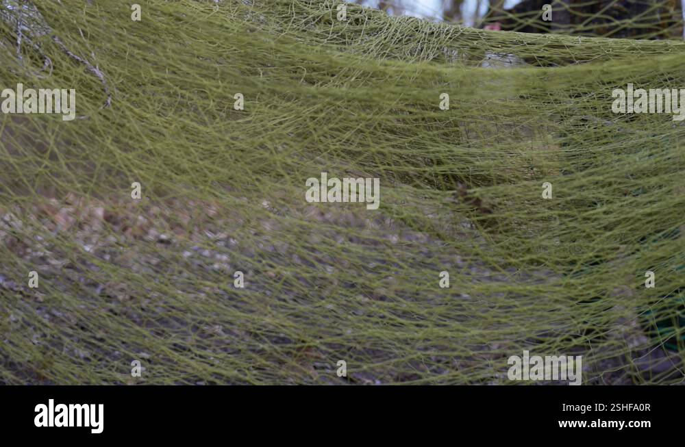 Nets for catching wild animals in the forest. Trapping game animals ...