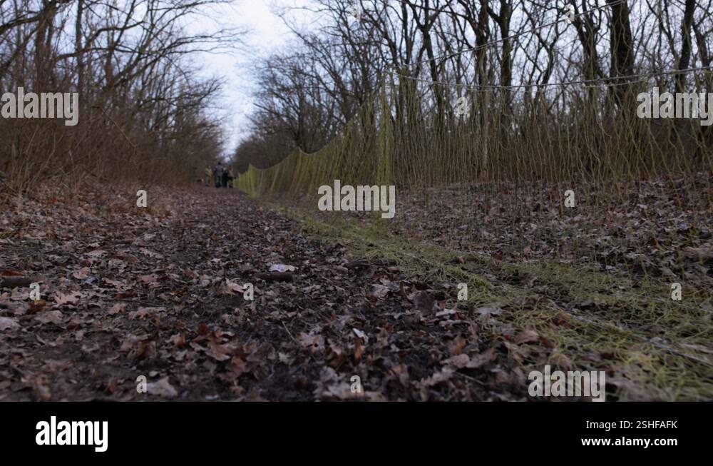 Nets for catching wild animals in the forest. Trap nets installed on ...