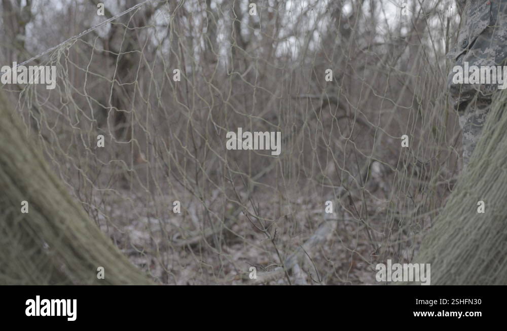 Nets for catching wild animals in the forest. Trapping game animals ...