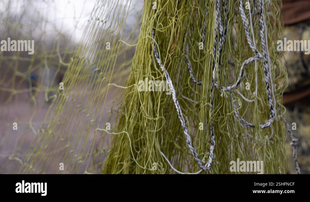 Nets for catching wild animals in the forest. Trapping game animals ...