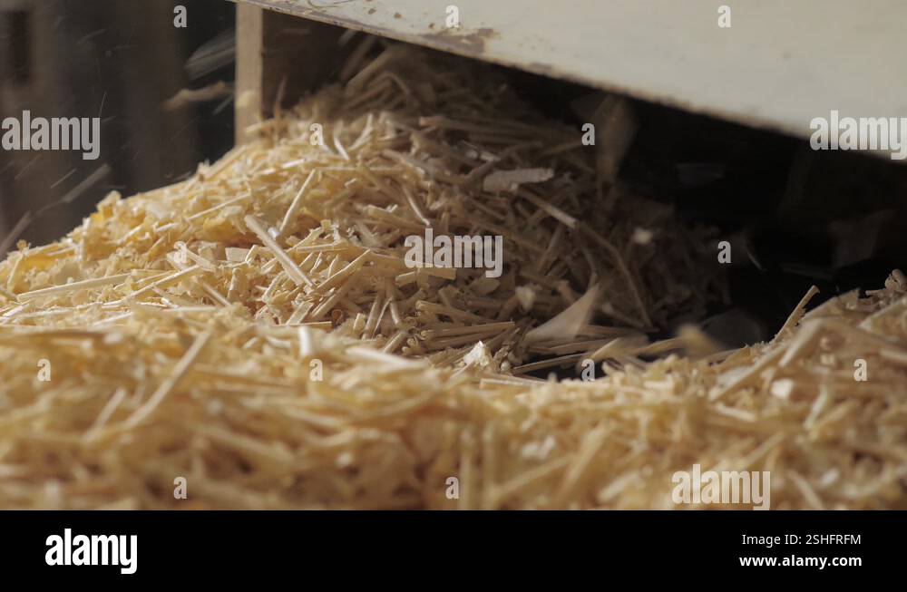 Shavings closeup. A carpenter in the workshop works on a woodworking ...
