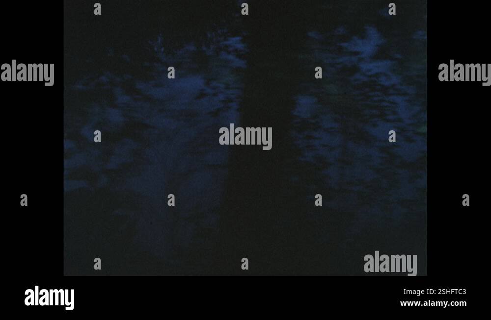 1950s: Driving past a tree lined river at night. Man rides a horse ...