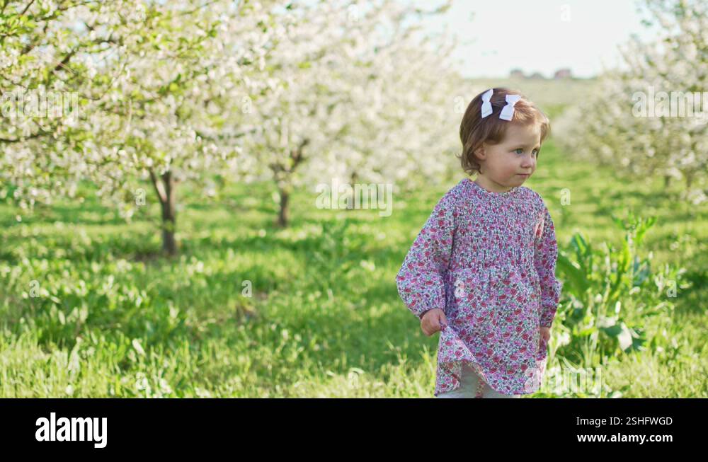 a pretty kid girl in a violet dress in a spring garden Stock Video ...