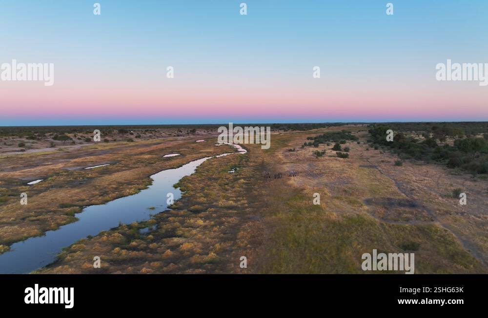 Aerial view of the Boteti river, Botswana, Africa Stock Video Footage ...