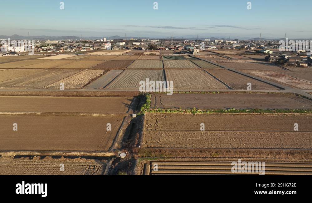 Flying low over plowed rows of unplanted rice fields in winter golden ...