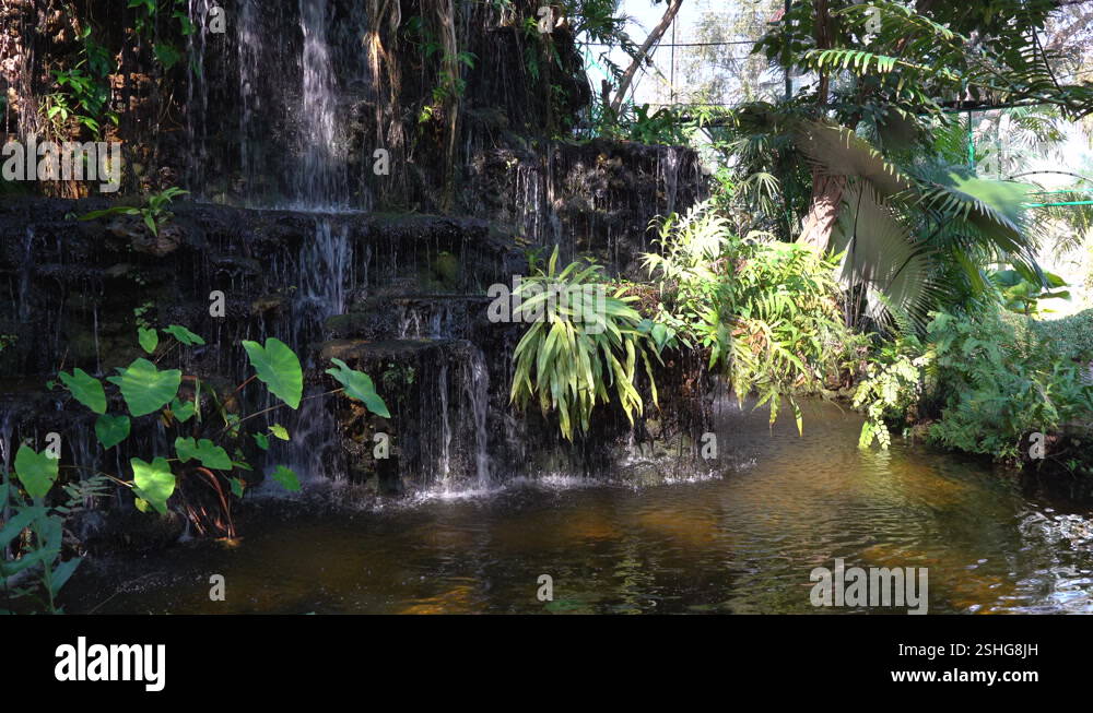 A small indoor manmade waterfalls with the water falling over the rocks ...