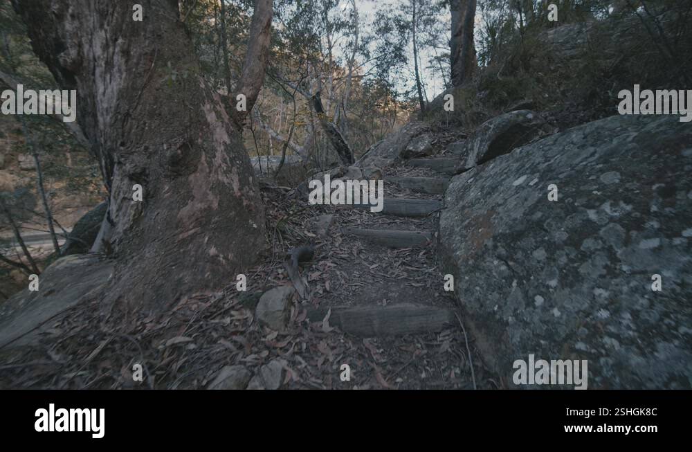 walking up stairs in jellybean pools national park western Sydney ...
