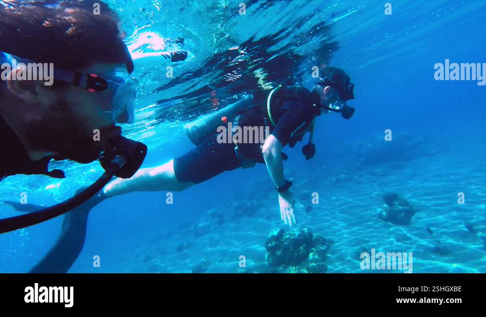 Two people scuba diving in shallow tropical waters of Bali, Indonesia ...