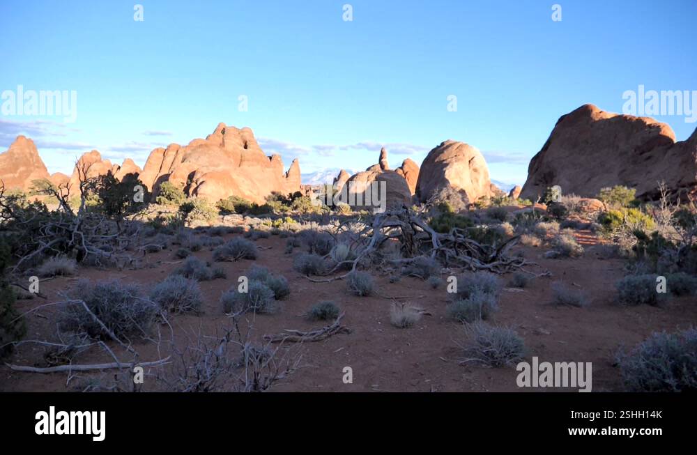 SLO MO walk through desert land with dry trees and big rocks Stock ...