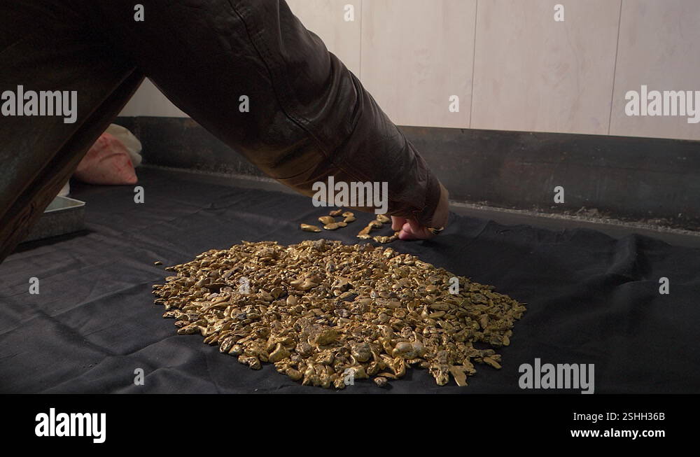 Close Up Of Worker Sorting Valuable Gold Ore At Precious Metals ...