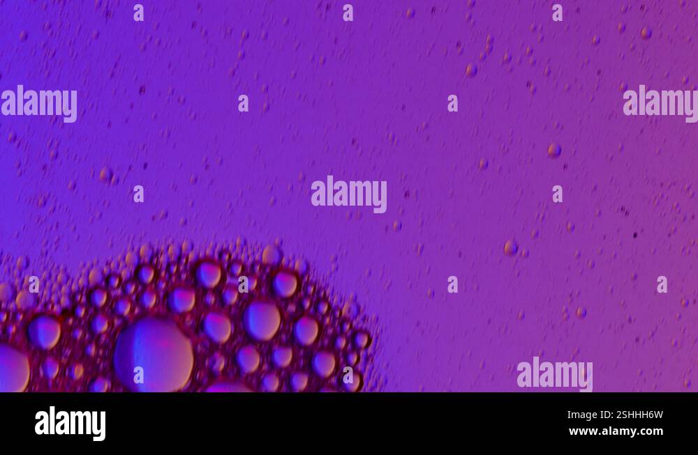 A swirl of bubbles in a pink and purple Greasy liquid Stock Video ...