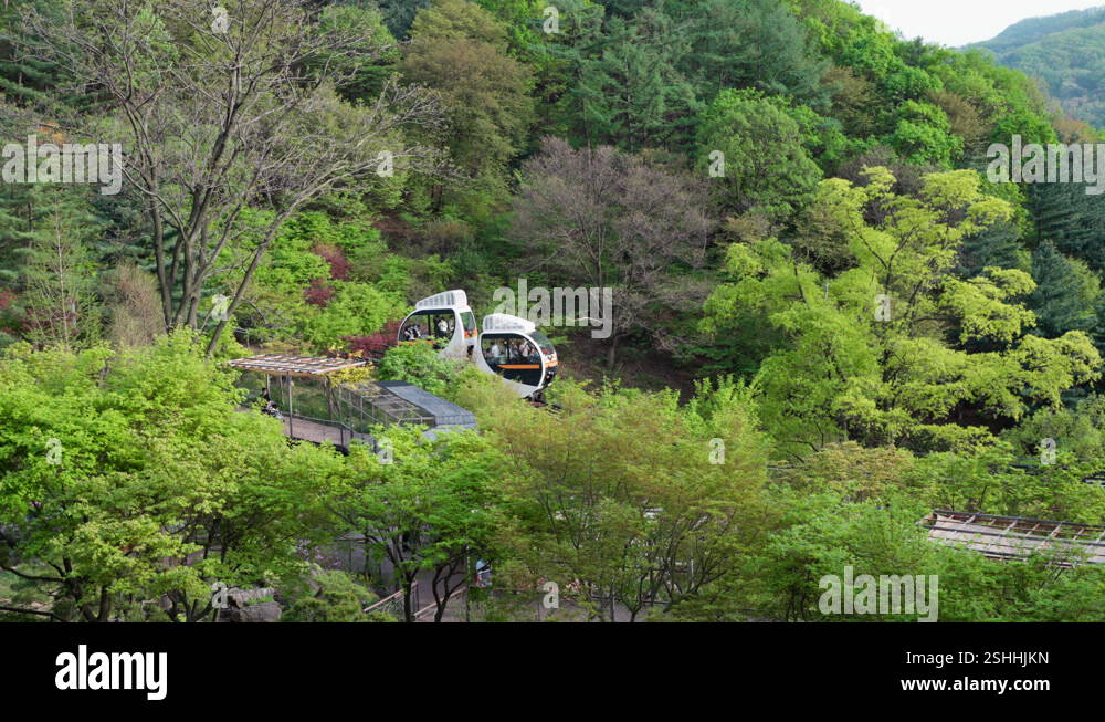 Eco friendly train Stock Videos & Footage - HD and 4K Video Clips - Alamy