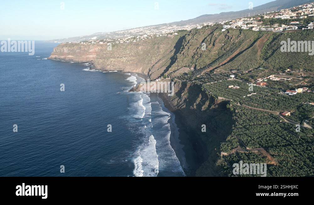 Aerial view of banana trees growing at field on a cliff next to the sea ...