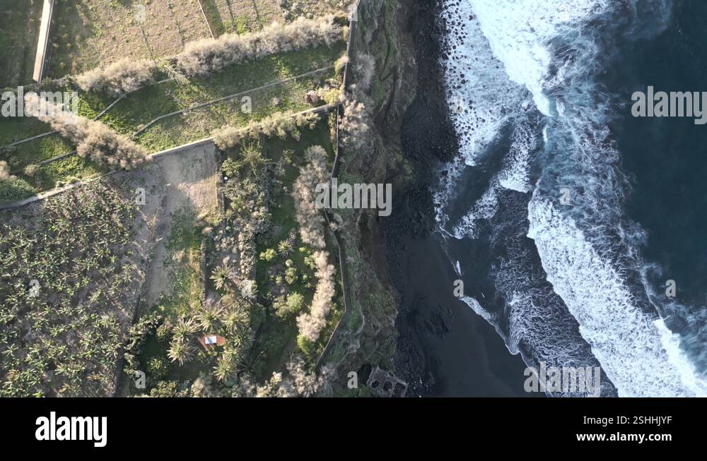 Top aerial view of banana trees growing at field on a cliff next to the ...