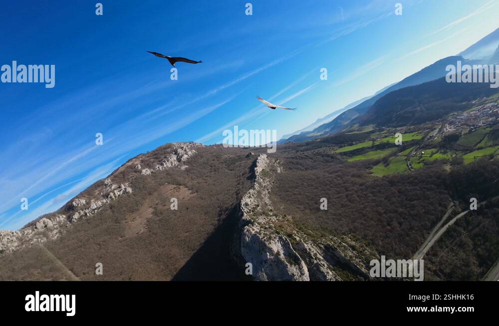 Birds flying, followed by a first-person drone.They pass in front of ...