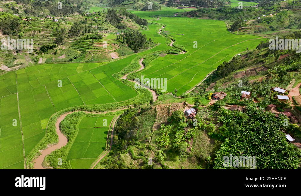 Drone moves forward showing a rice patty in the valley of a mountain ...