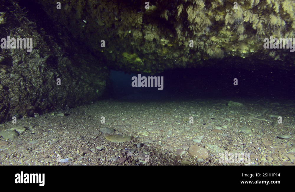 Ocean cavern Stock Videos & Footage - HD and 4K Video Clips - Alamy