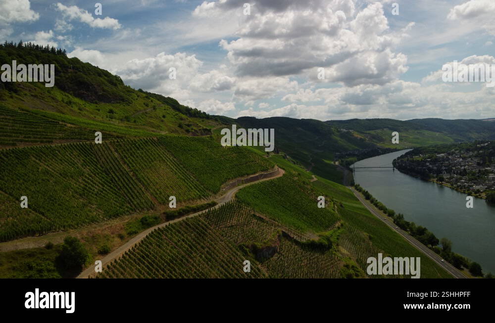 Flight over a vineyard and lake Moselle with bridge (Bernkastel-Kues ...