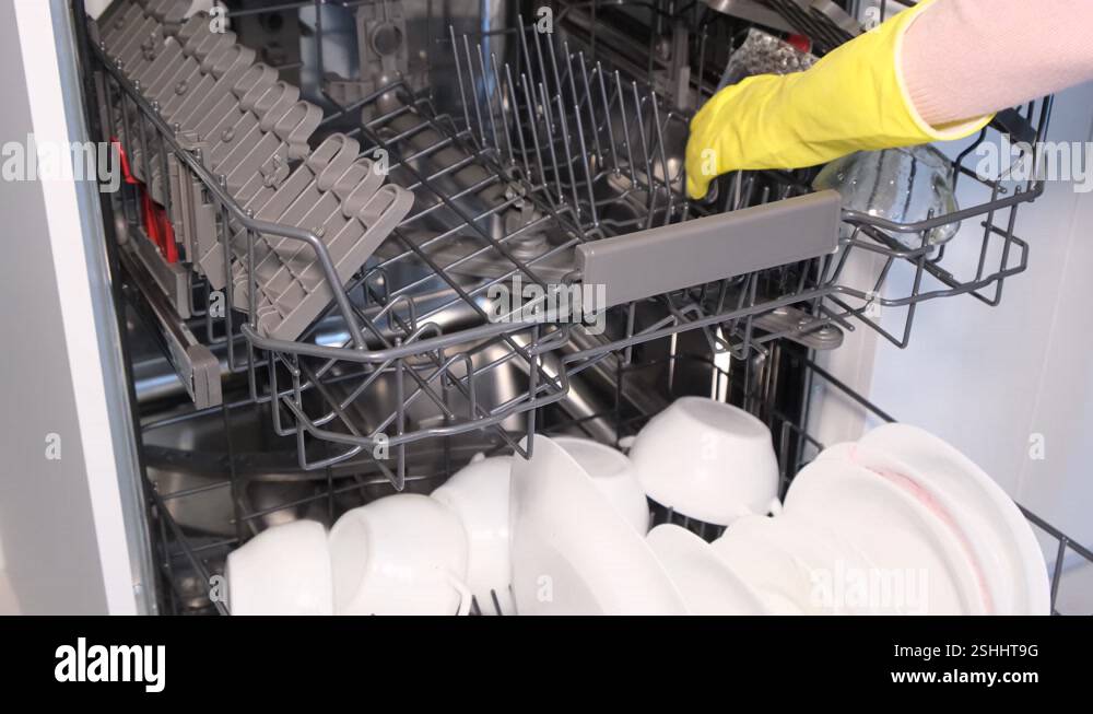 A woman's hands load dirty dishes into a dishwasher, an open door ...
