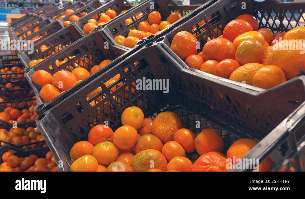 Plastic boxes with mandarins (tangerines) stand on the supermarket ...