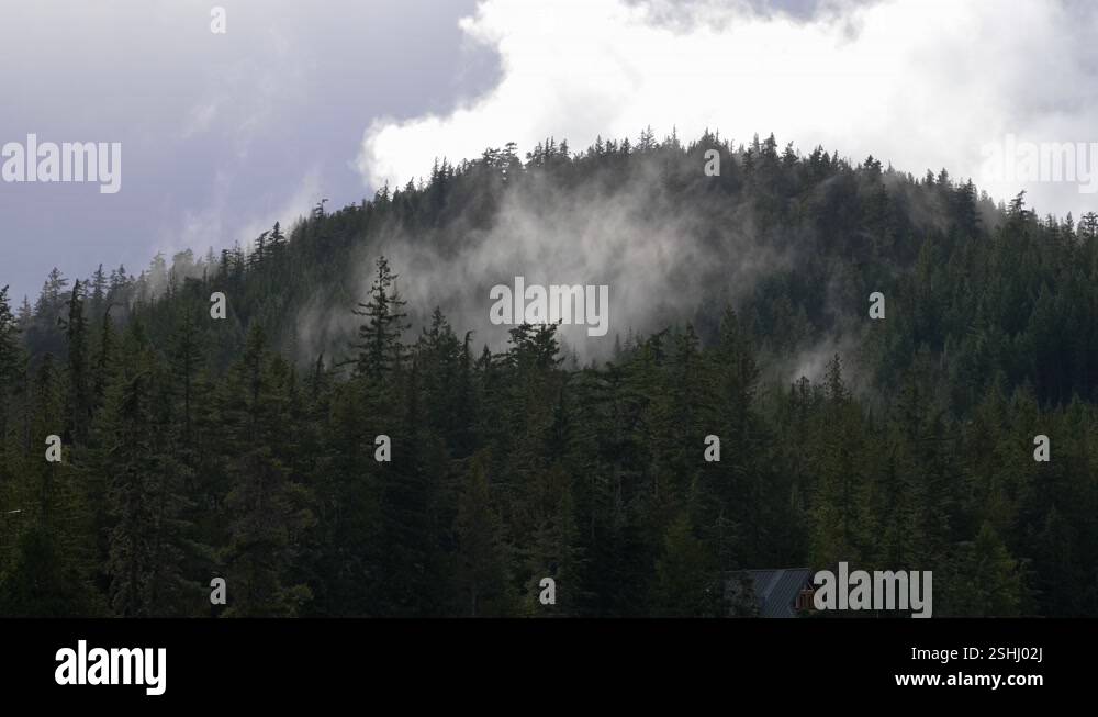 Fine Clouds Rising Over Lush Mountain On A Foggy Morning. Slow Motion ...