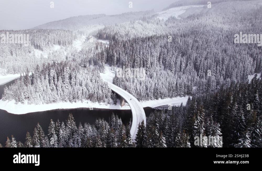 Aerial view of couple walk on a bridge in alpine forest landscape ...
