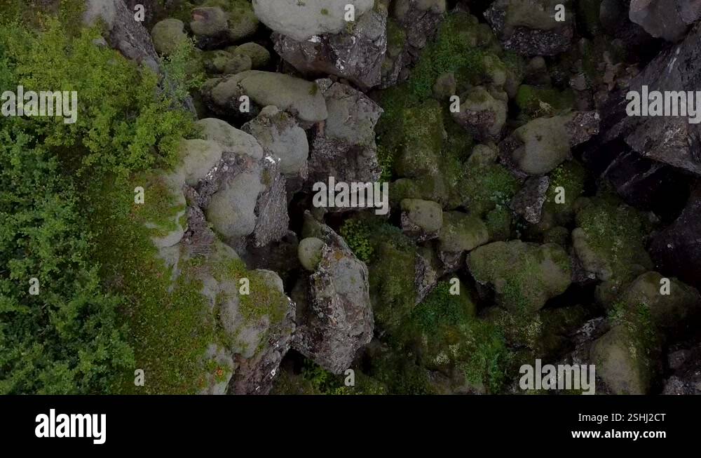 Volcanic rocks formed in lava fields, covered in moss, aerial closeup ...