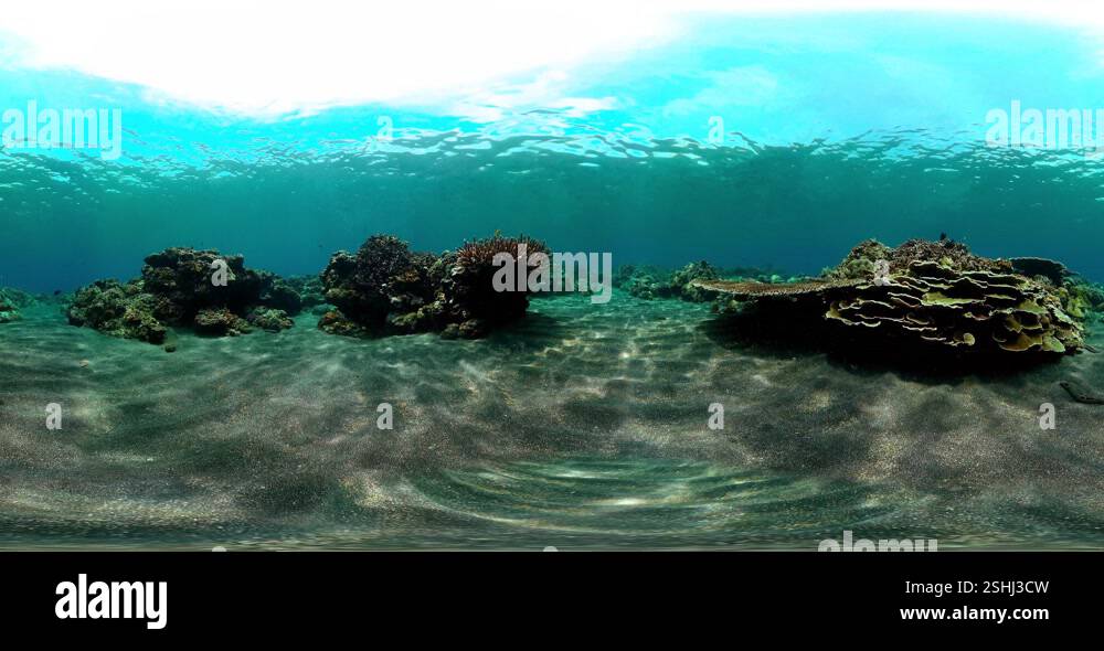 Coral reef and tropical fish underwater. 360-Degree view Stock Video ...