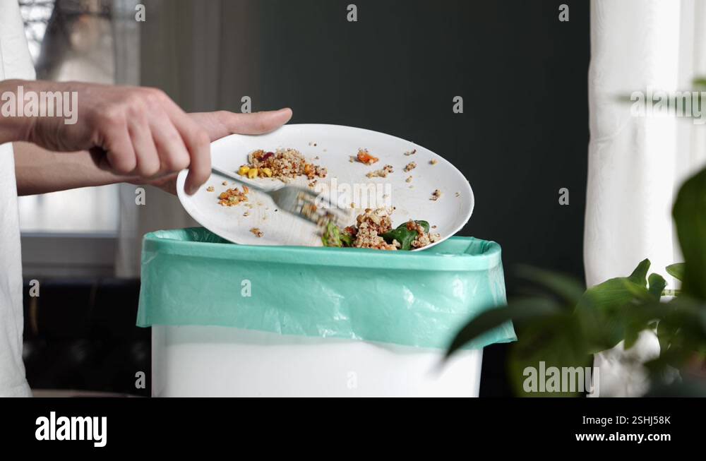 The leftover food in restaurant. Food waste will go straight to ...
