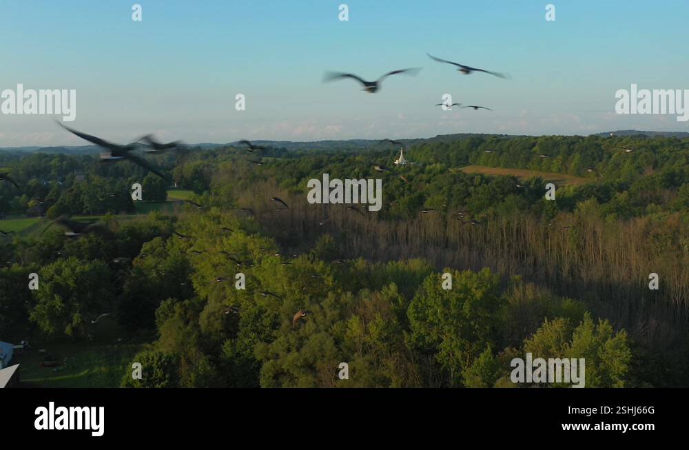 birds fly around a drone near the Joseph Smith family farm, temple in ...