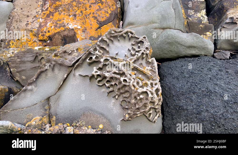 Sedimentary rock structure boulders stack. Sea dam. Scotland UK ...