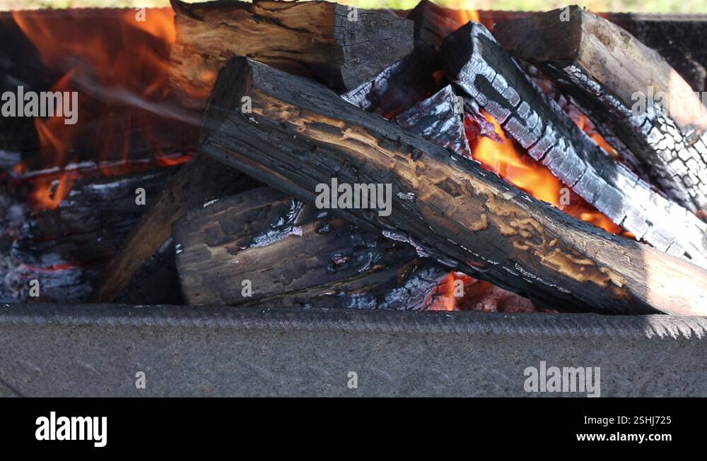 Orange flame over the burning wood. Embers of black firewood burn-out ...
