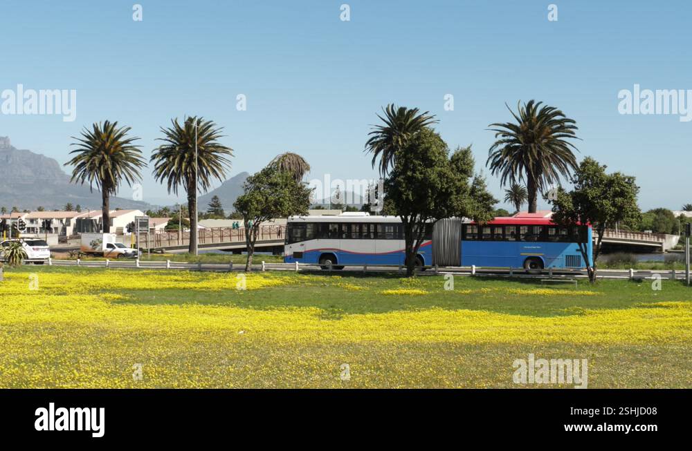 Long articulated transit bus on waterfront street in Cape town, RSA ...