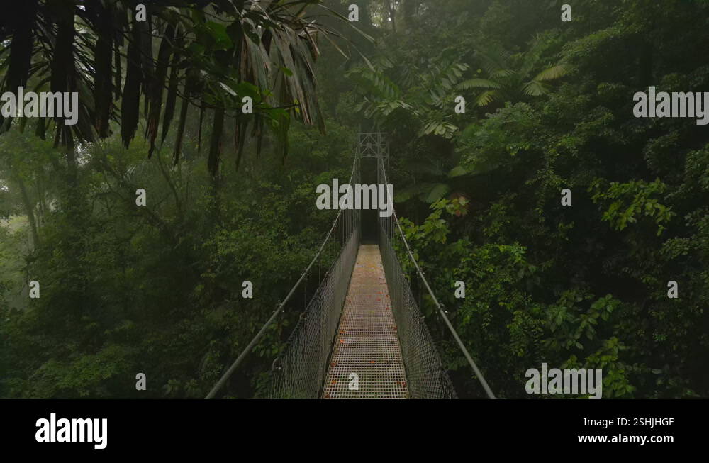 Backwards moving on footbridge on tourist trail over gorge in tropical ...