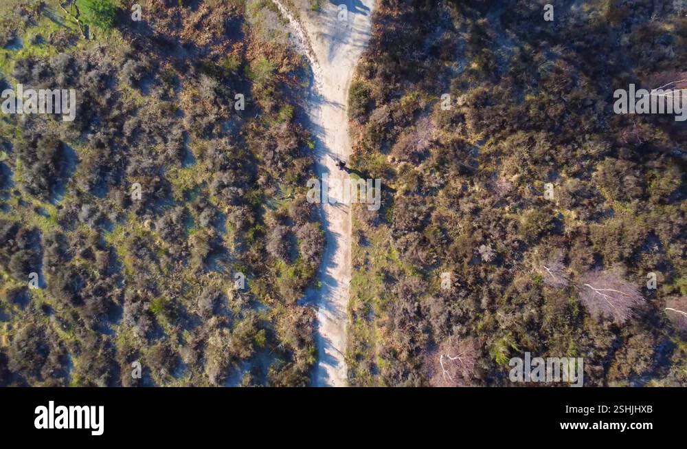Drone shot from above in nature with a person walking on a path Stock ...