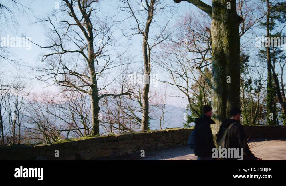 Black Forest Castle Side Ledge Wall View of Village In The Distance ...