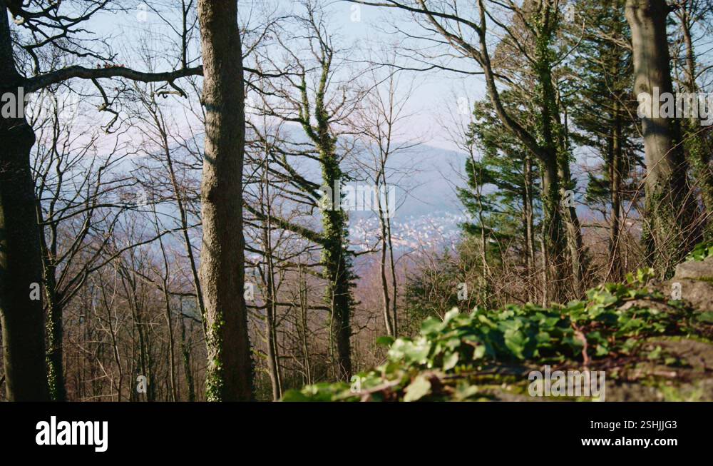 Black Forest Castle Side Ledge Wall View of Village In The Distance ...
