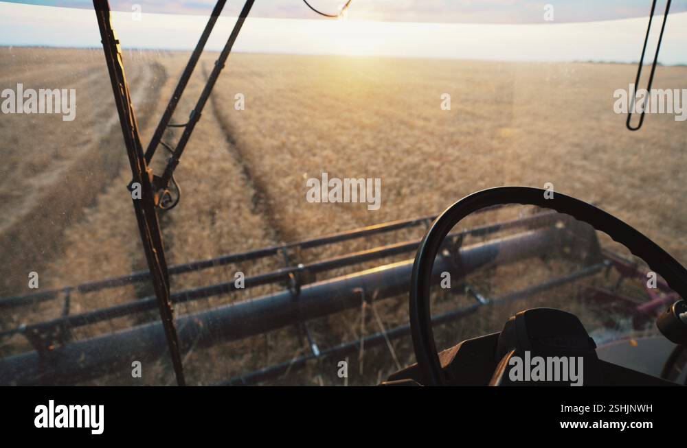 View from cabin of harvesting combine on hands of driver controlling ...