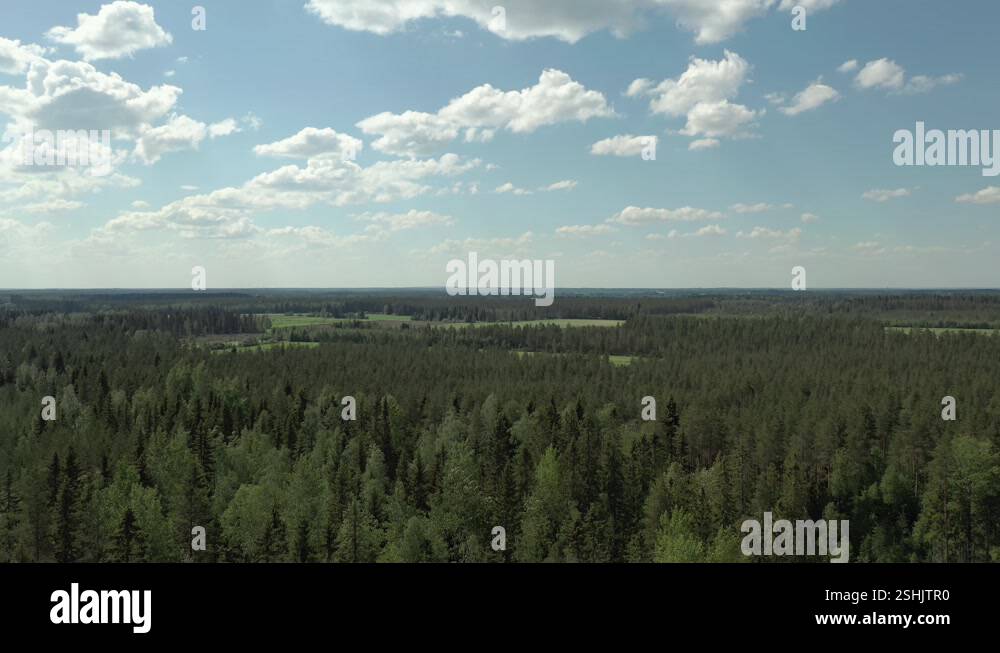 Woods circle Stock Videos & Footage - HD and 4K Video Clips - Alamy